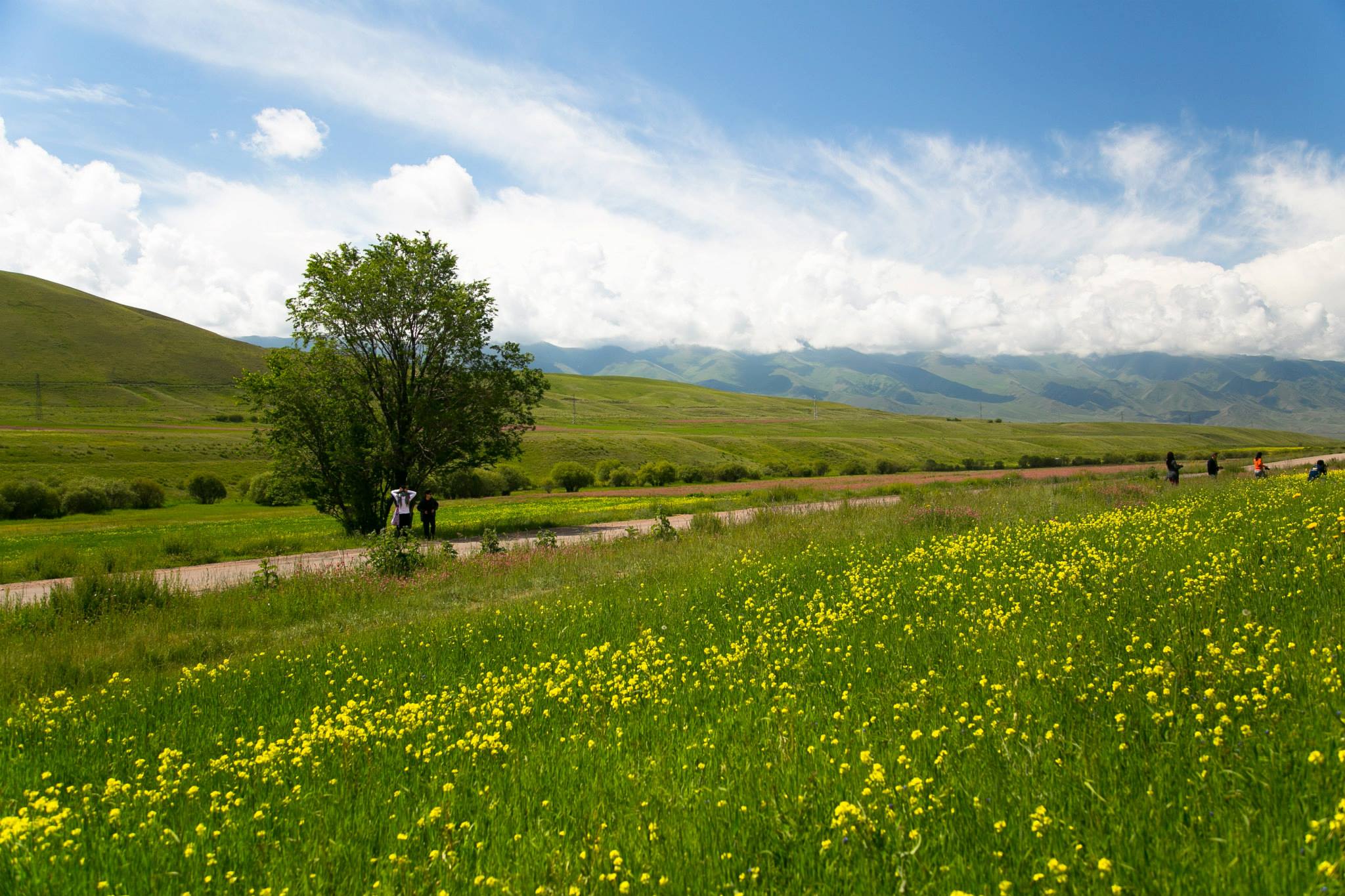 Kyrgystan Countryside 11.jpg
